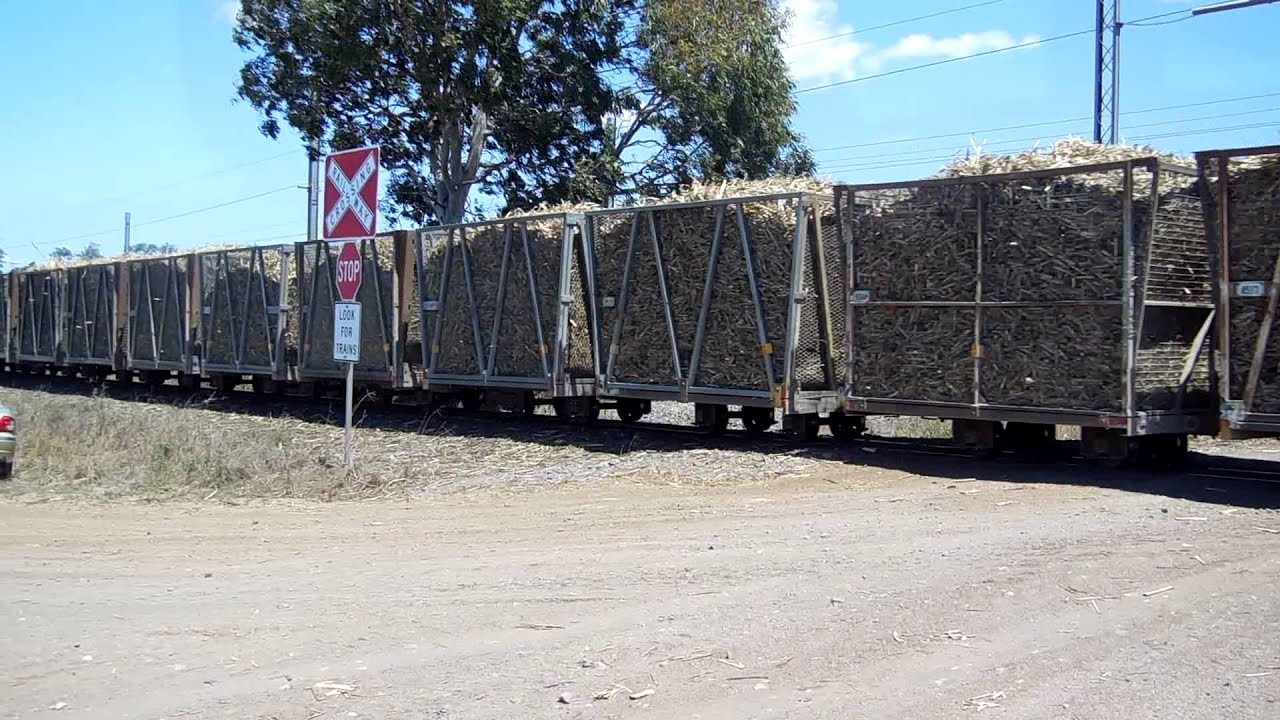 long sugar cane train... sarina mill.. qld australia - YouTube