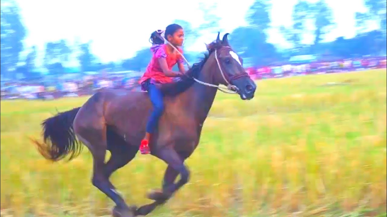 হালিমার ঘোড়া দৌড় প্রতিযোগিতা ২০২৩ | গ্রাম বাংলা ঘোড়া দৌড় খেলা | Ep - 7 | Ebrahim - YouTube