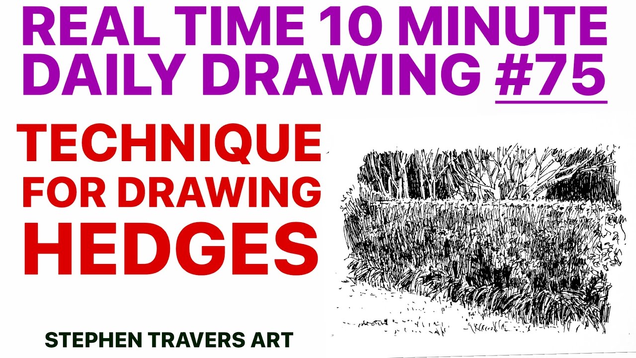 Easy Way to Draw Hedges That Look Real - YouTube