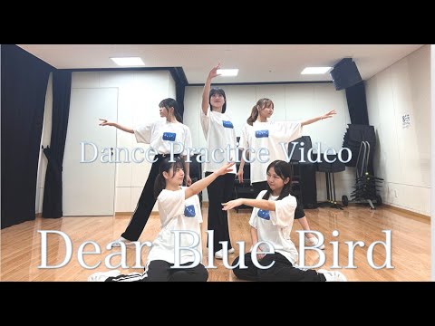 「Dear Blue Bird」Dance Practice Video - YouTube