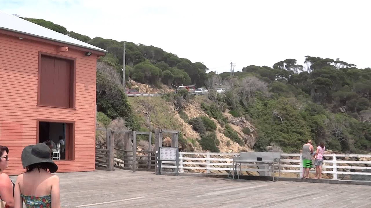 Tathra Wharf Fishing - YouTube