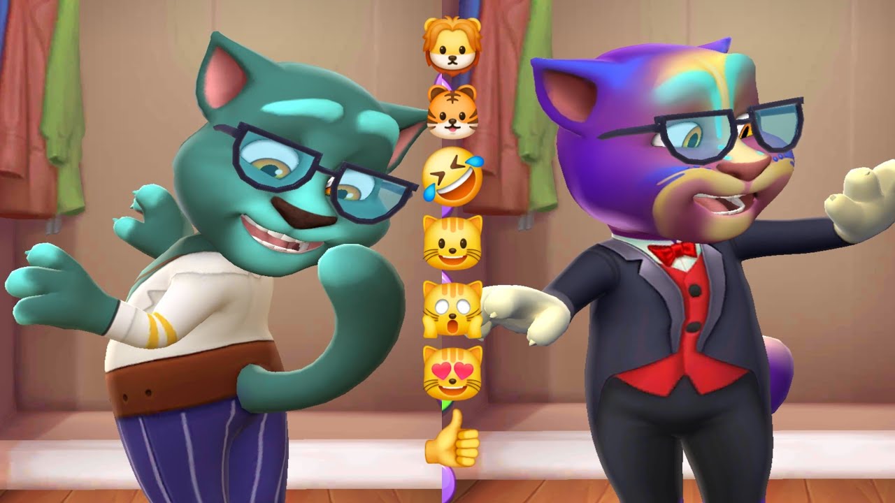 Nice Talking Cat Tom Tom |talking 👌 video funny 😁 - YouTube