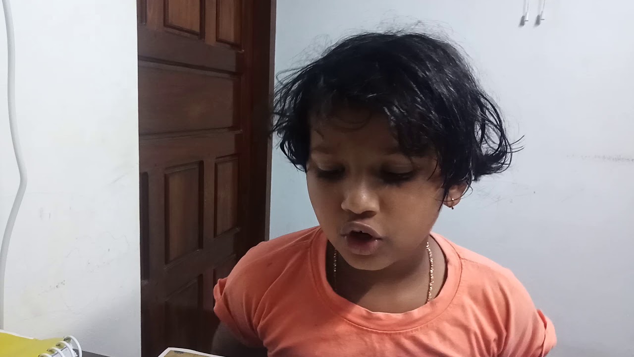 Toto the turtle story - YouTube