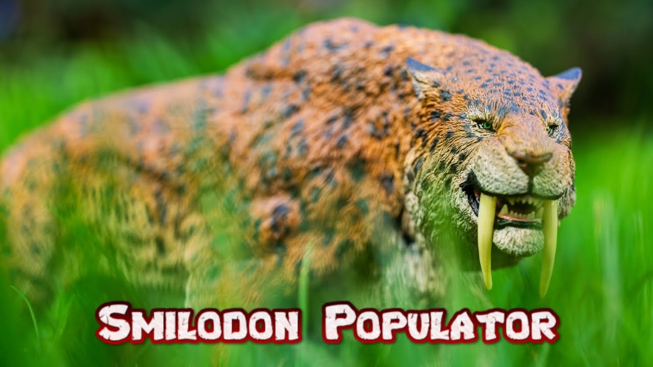 Rebor - Smilodon Populator - Unboxing and review. - YouTube
