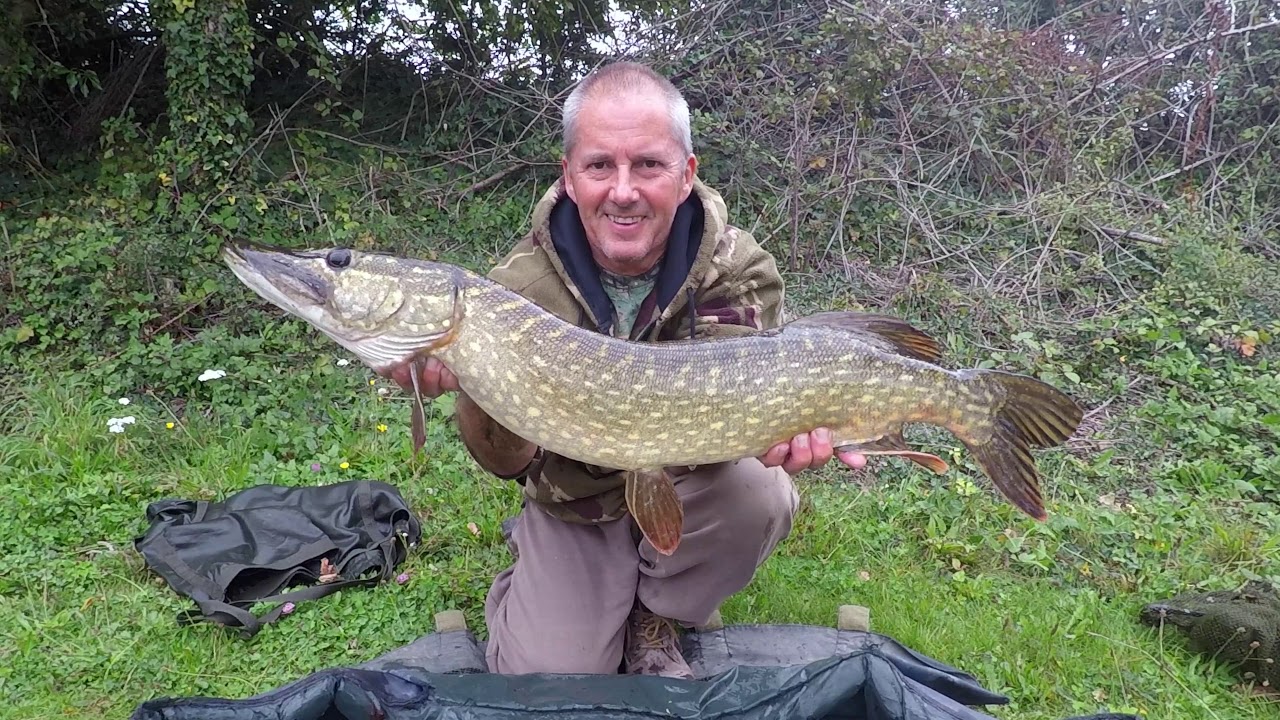 My Start To The Pike Season, October 2019 - YouTube