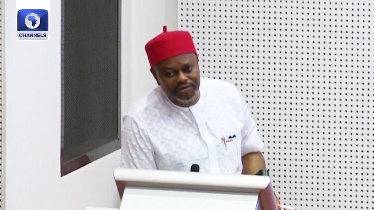 Uche Nnaji Plans To Use Agriculture For Youth Engagement - YouTube