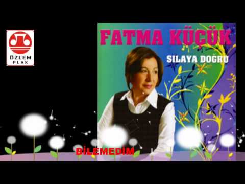 Fatma Küçük  - Bilemedim