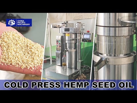 Hemp Seed Cold Type Oil Press Machine|Cold Pressed Hempseed Oil ...