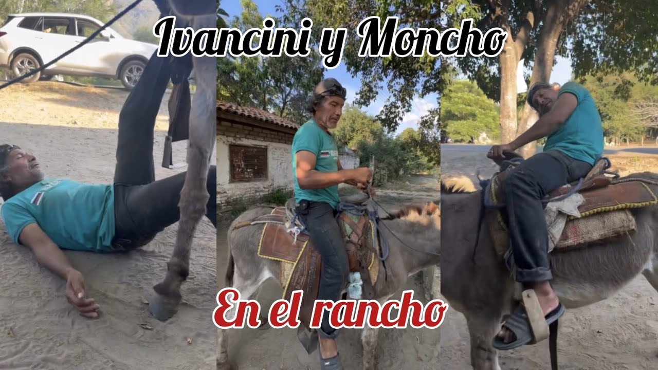 🤠😱🔥El Moncho se cae al burrito de Ivanici - YouTube
