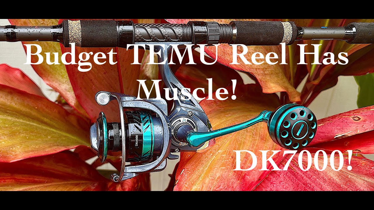 Budget DK7000 POWERFUL TEMU Reel Has Muscle! - YouTube