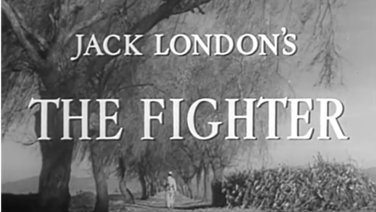 The Fighter (1952) | A Battle for Justice in the Ring! Film Noir Full ...