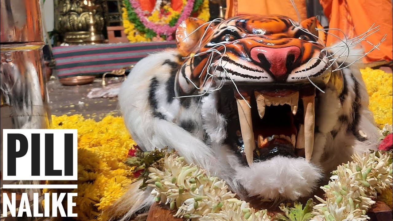 PILI NALIKE-HULI VESHA-TIGER DANCE - YouTube