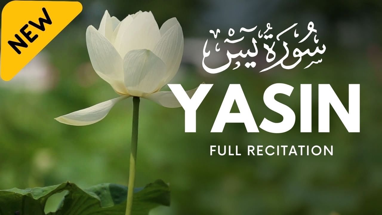 Surah Yasin (Yaseen) Full Recitation | سورة يس | Islamic Echos ...