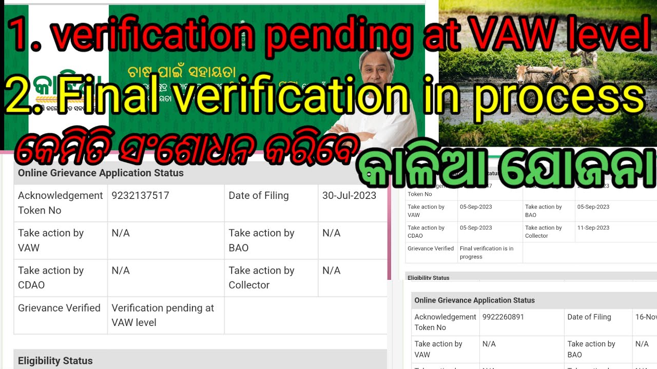 କାଳିଆ ଯୋଜନା ରେ 1.verification pending at VAW level 2. final ...