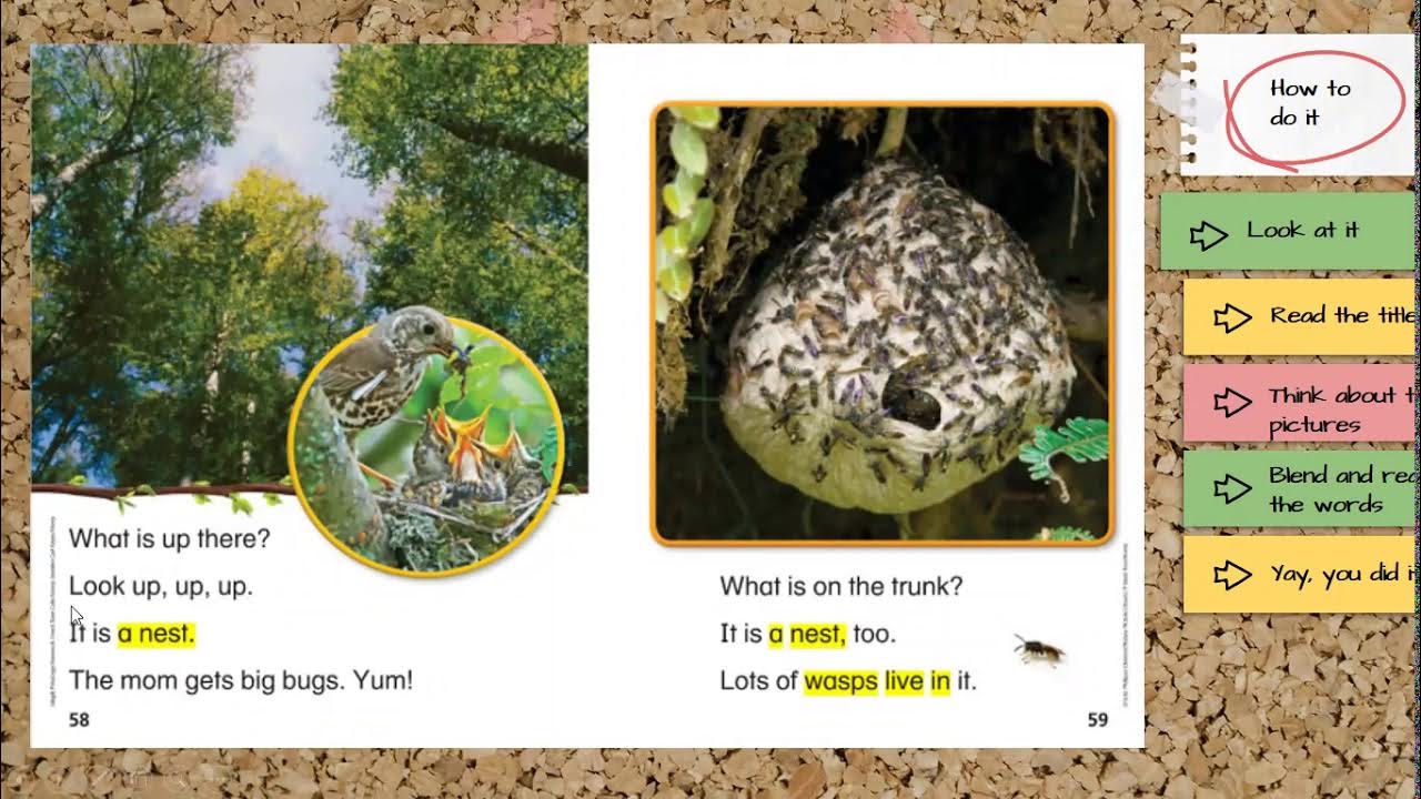 U2W3 OL -Grammar and Writing-wonders - YouTube