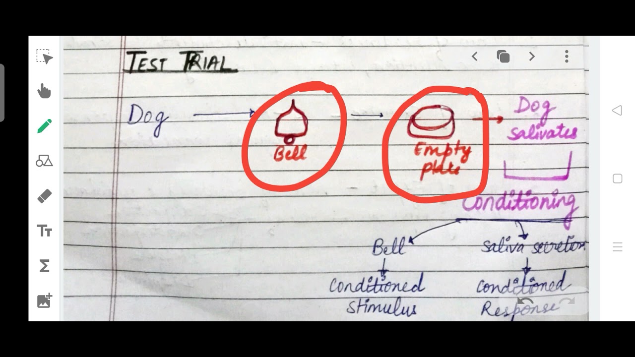Pavlov's law of classical conditioning #learningtheories # ...