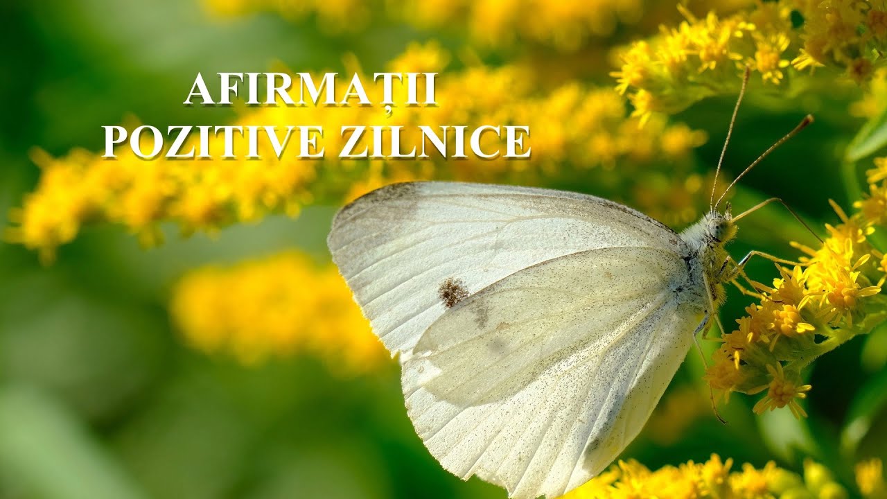 CELE MAI FOLOSITOARE AFIRMAȚII POZITIVE DACĂ LE SPUI ZILNIC - O ...