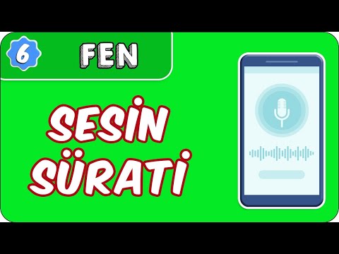 Sesin Sürati |  6. Sınıf Fen evokul Kampı