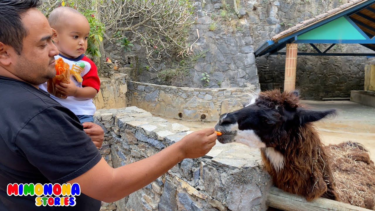 Visita Zoologico Expanzoo 🐪 Farm Animals 🐰 Animales de la Granja y mas ...