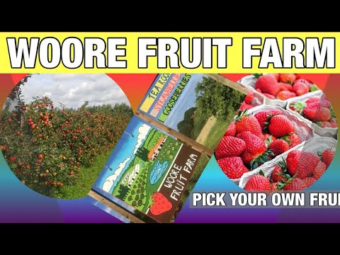 | WOORE FRUIT FARM | UK FARMS | FARMS IN THE UK | UK FARM EXPERIENCE ...
