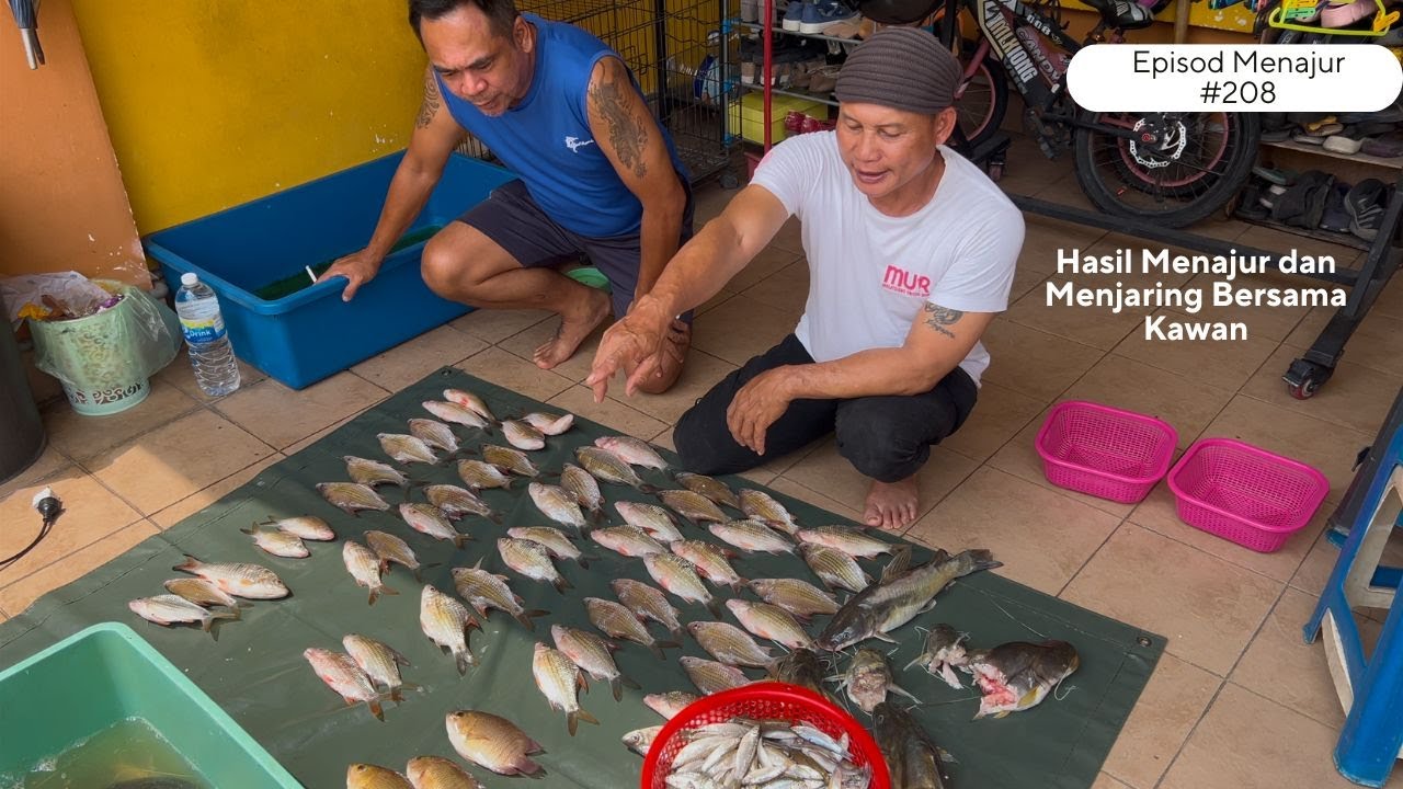 Berkongsi Hasil Tajur dan Jaring dengan Buaya [Eps 208] - YouTube