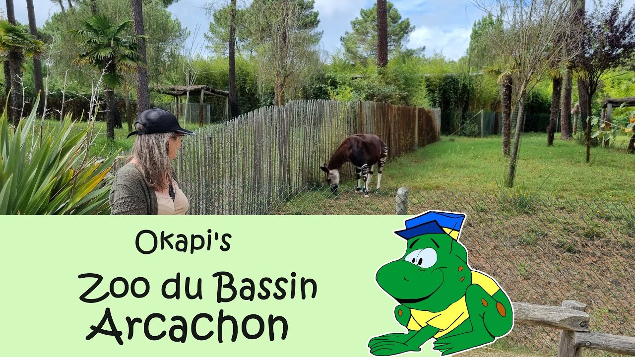 Zoo du Bassin Arcachon, territoire des okapis - YouTube