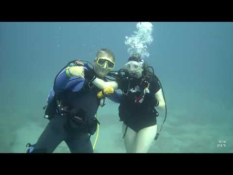 100th dive - YouTube