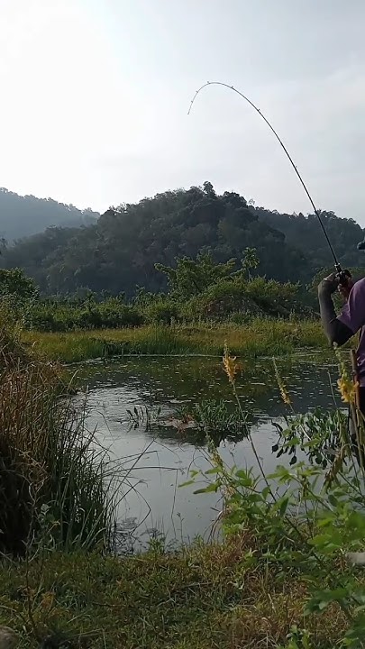 spot yang banyak ikan predator#tulus mancing - YouTube