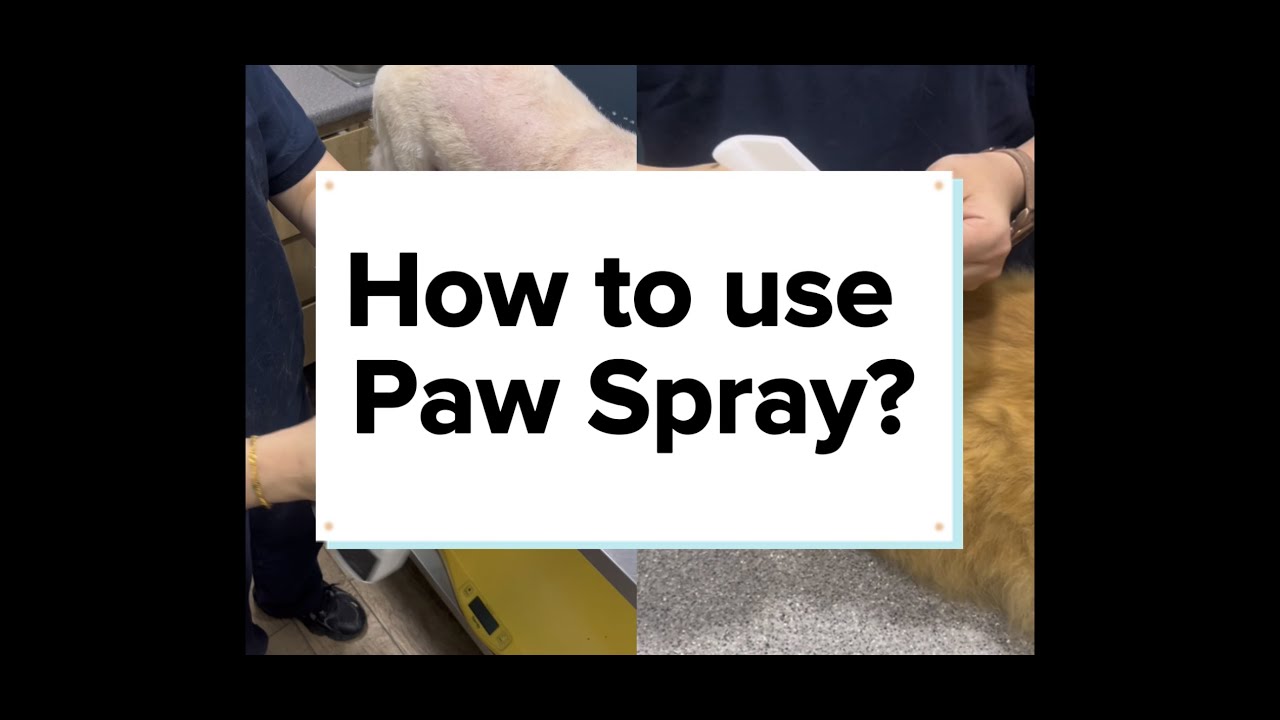 Tutorial for applying Paw Spray on both Cat & Dog - YouTube