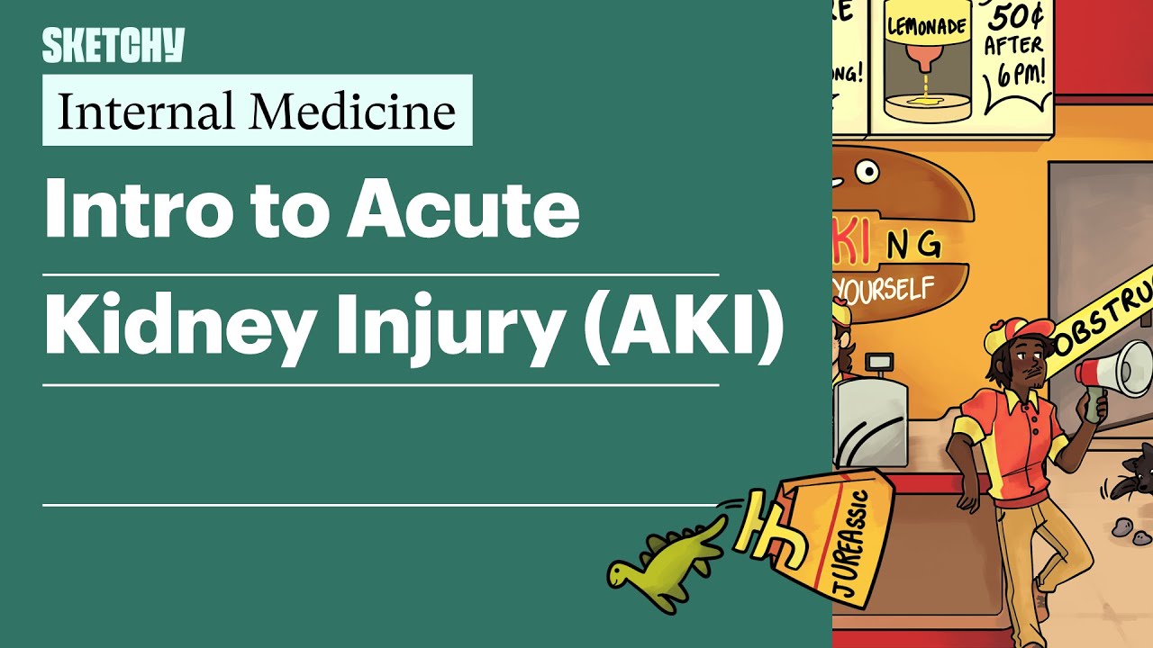 Intro to Acute Kidney Injury (AKI) (Internal Medicine) | Sketchy ...