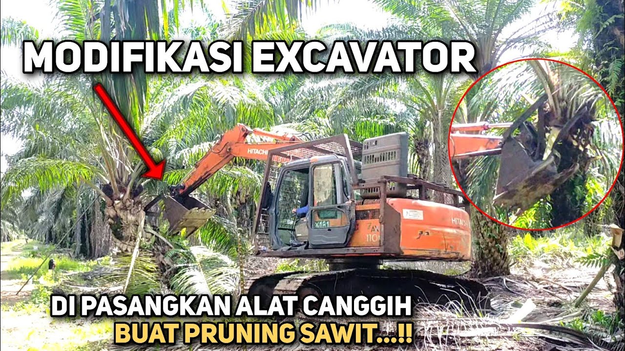 Cara Excavator Pruning Sawit Di Pasangkan Alat Canggih Khusus Buat ...