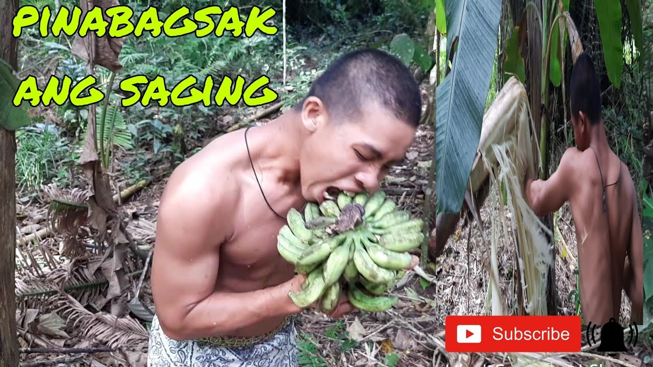 ang pagbabalik ni boxer boy | pinabagsak ang puno ng saging - YouTube