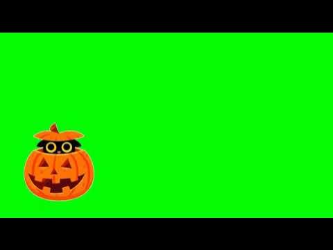 this is Halloween, Cat and Pumpkin Green screen #Halloween #cat # ...