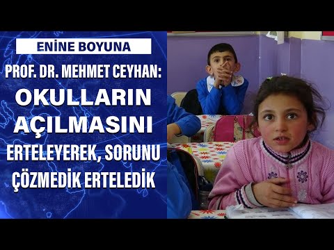 Prof. Dr. Mehmet Ceyhan: Okulların açılmasını erteleyerek, sorunu çözmedik erteledik...