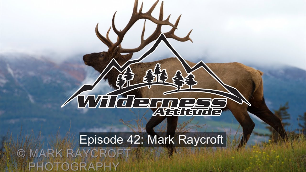 WA Episode 43: Mark Raycroft - YouTube