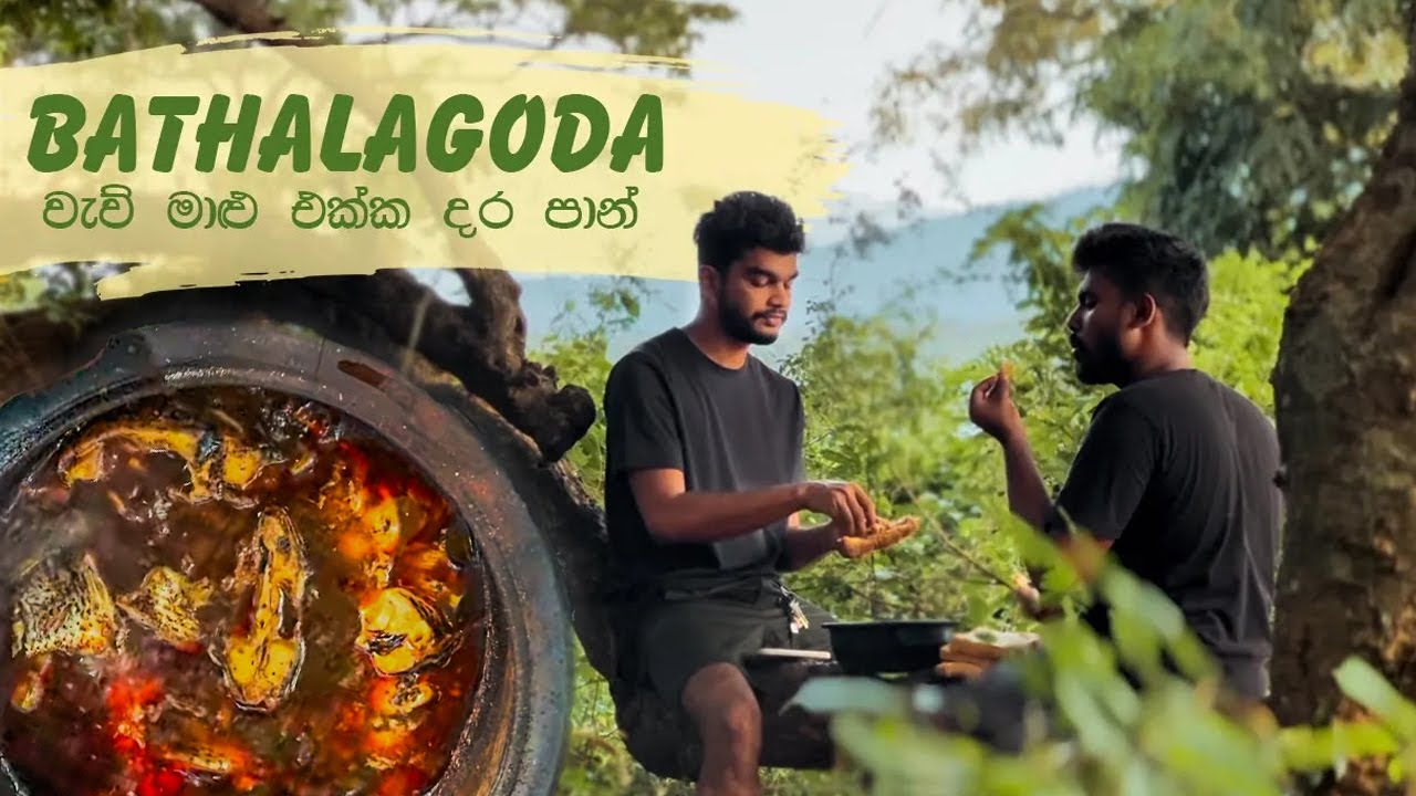 Cooking Lake Fish Curry🥘🐟 in Sri Lanka | Wew Malu Curry with Wood-Fired ...