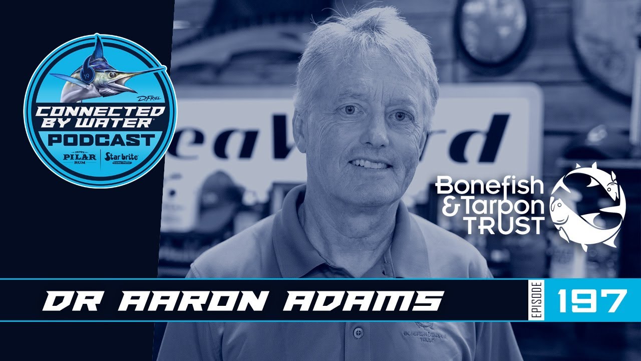 Dr. Aaron Adams | Episode 197 - YouTube