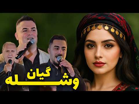 وشله گیان فرشاد امینی \