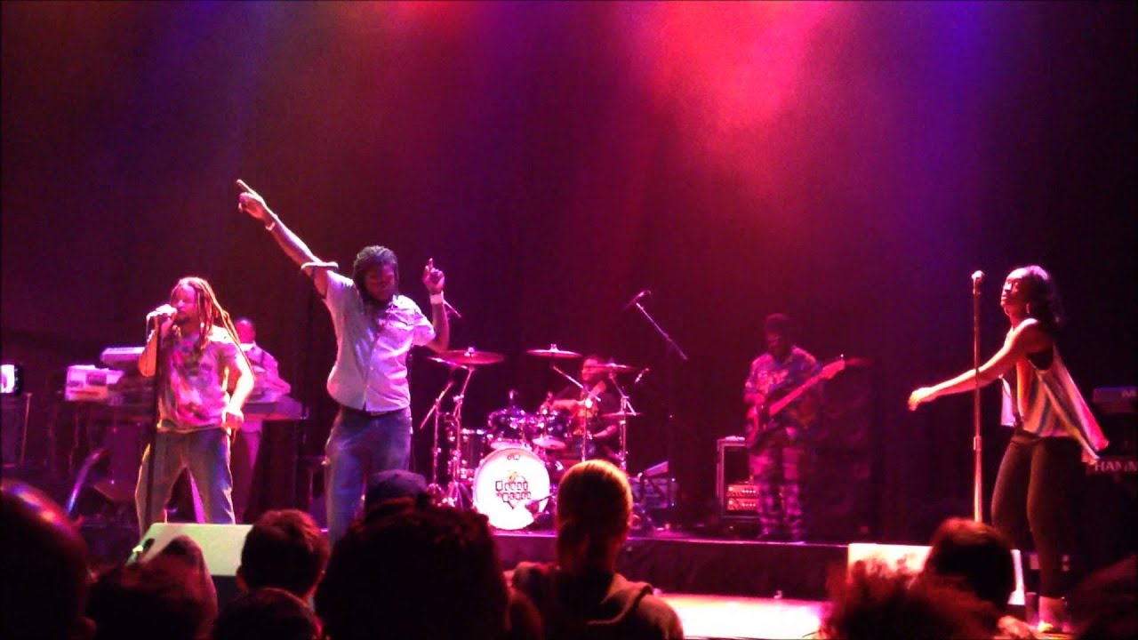 The Wailers Live in concert - Reggae clips - YouTube