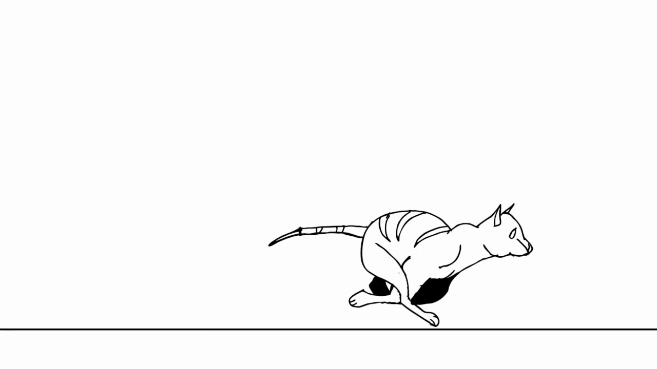 Cat Run Cycle - YouTube