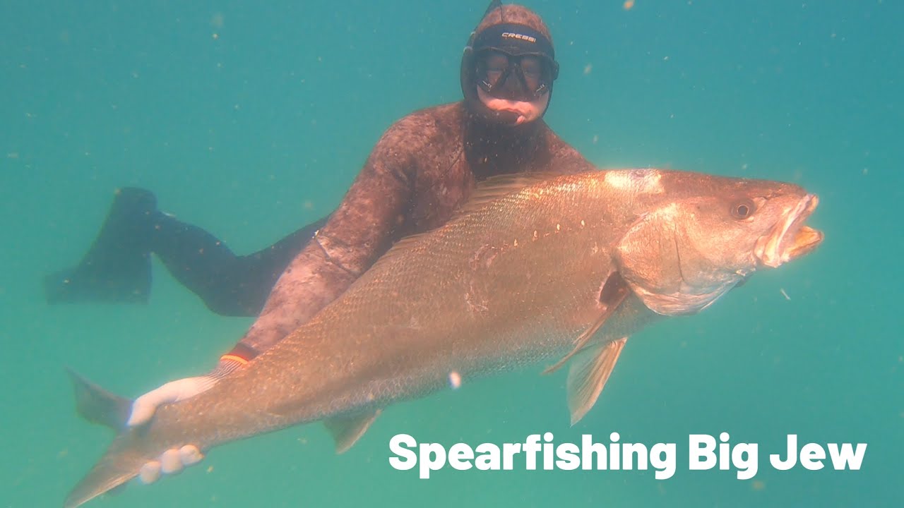 Spearfishing Big Jew - YouTube