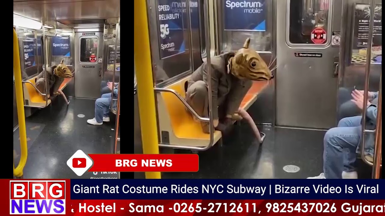Man In Giant Rat Costume Rides NYC Subway | Bizarre Video Is Viral | Rat problem in New York ...