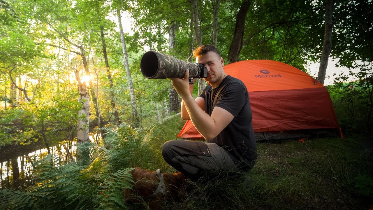 Solo Camping + Bird Photography // Shooting Kingfishers with Gamander ...