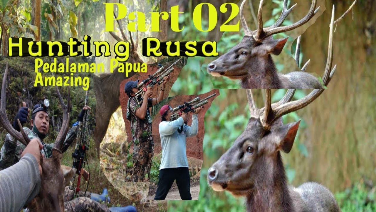 Hunting Rusa|rusa di Hutan Papua Part 02 (deadly spine shot) - YouTube