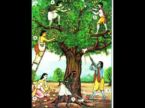 6 Leshya (छः लेश्या) - YouTube
