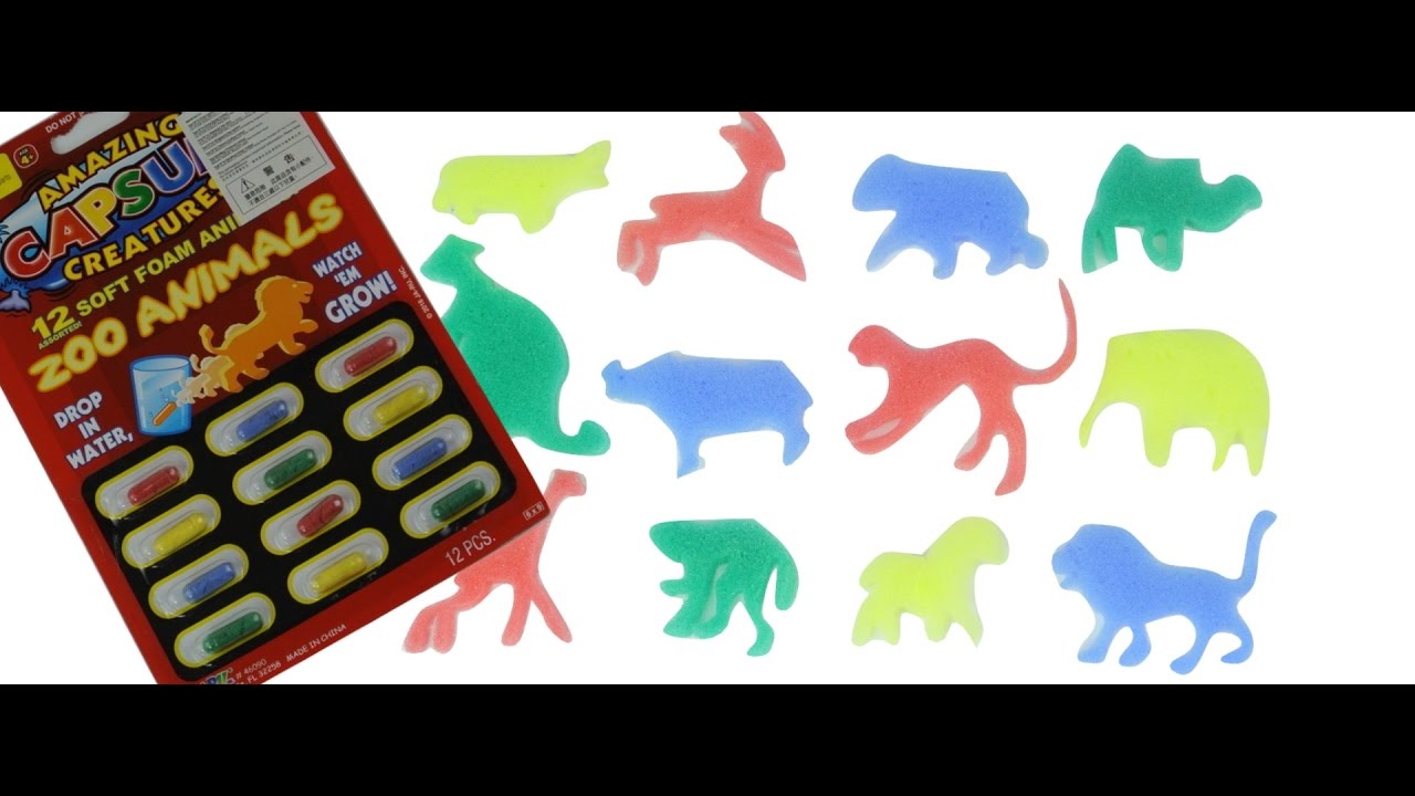 Watch these MAGIC CAPSULES change into ZOO ANIMALS! Best Learning Video ...
