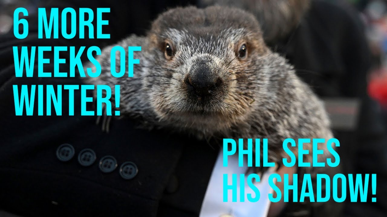 6 More Weeks of Winter! Phil Sees His Shadow! - YouTube