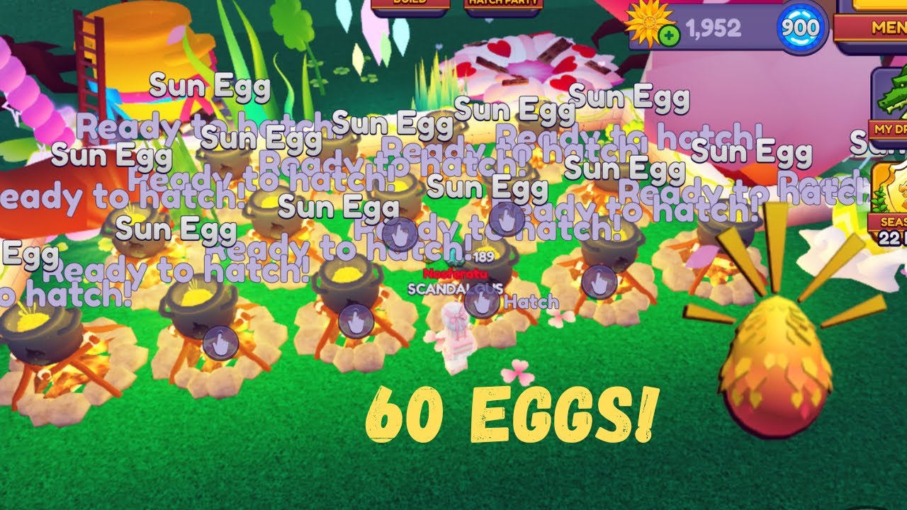 OPENING 60 SUN EGGS FOR SOLSTICE EVENT | Dragon Adventures 🐉 - YouTube