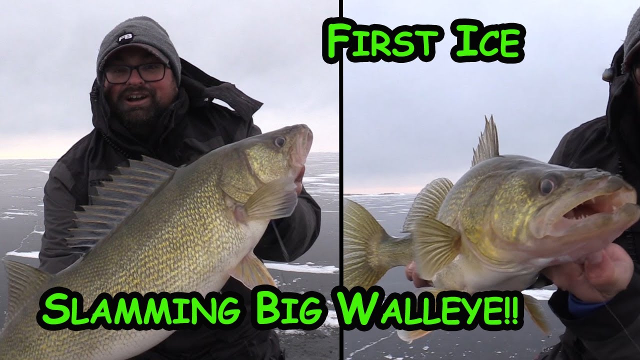 Ice Fishing EARLY Ice for GIANT Walleyes!! (Back to Back!!) - YouTube
