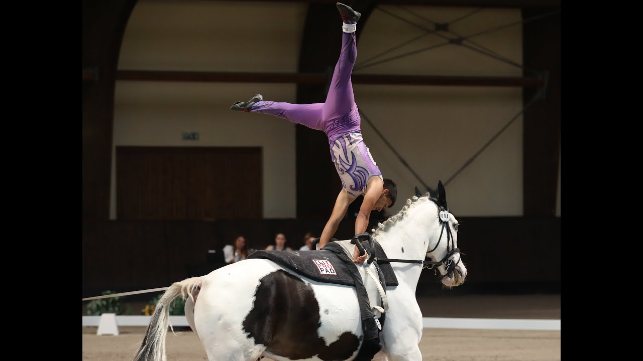 Ignacio Mercado 1* Free Style Vaulting Individual - Samorín Slovakia ...